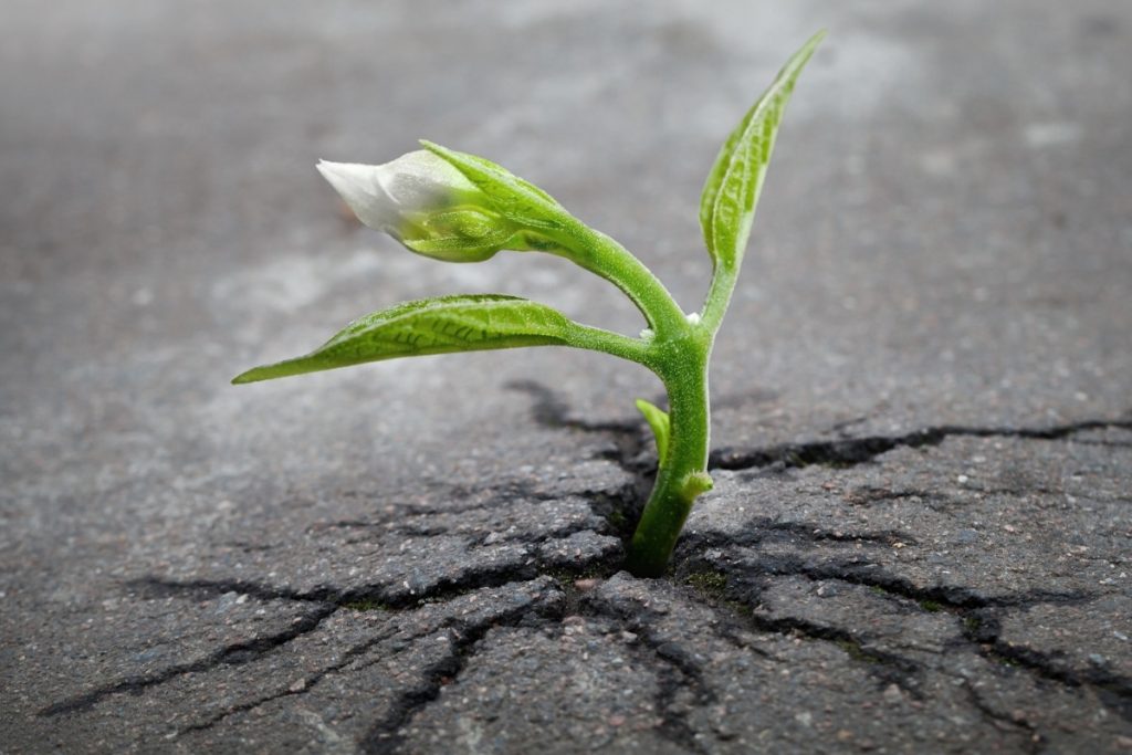 Persistence. Determination. What’s the difference?