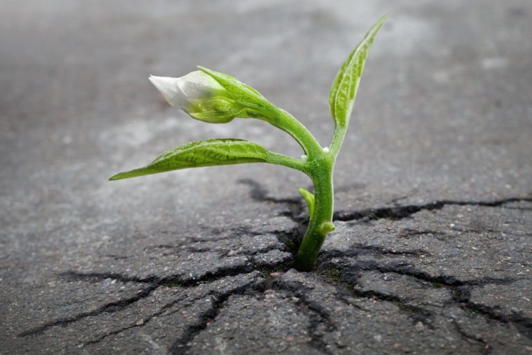 Persistence. Determination. What’s the difference?